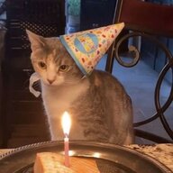 Game Mechanics - Map sizes combinations upon creating a new world ...