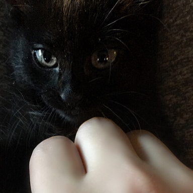 Terasal | Terraria Community Forums