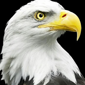 Spaces_X_Mars | Terraria Community Forums