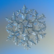 Luna_Dev | Terraria Community Forums