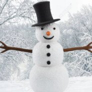 The Snowman King | Terraria Community Forums