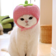 louser | Terraria Community Forums