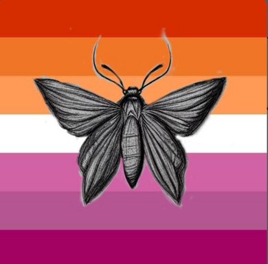 I'm A Moth In Disguise | Terraria Community Forums