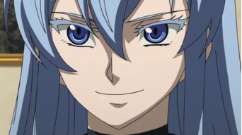 Esdeath | Terraria Community Forums